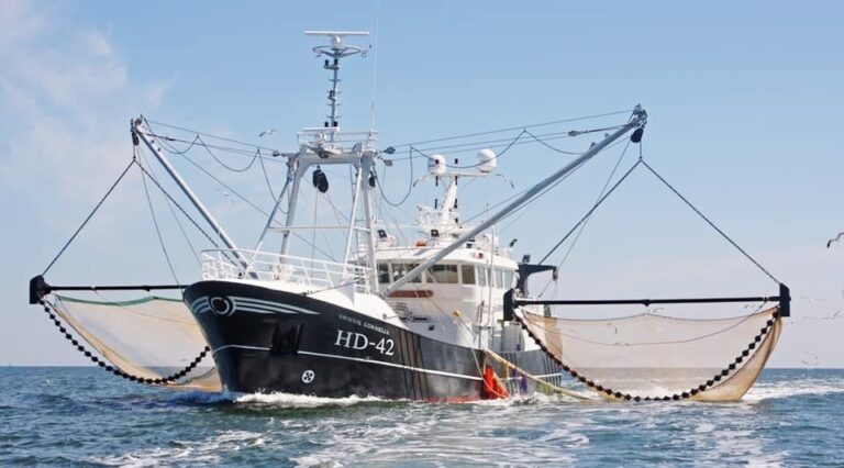 12 Types of Fishing Boats - Complete Guide [with Pictures & Names ...